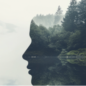 Home - Fundació Vidal i Barraquer